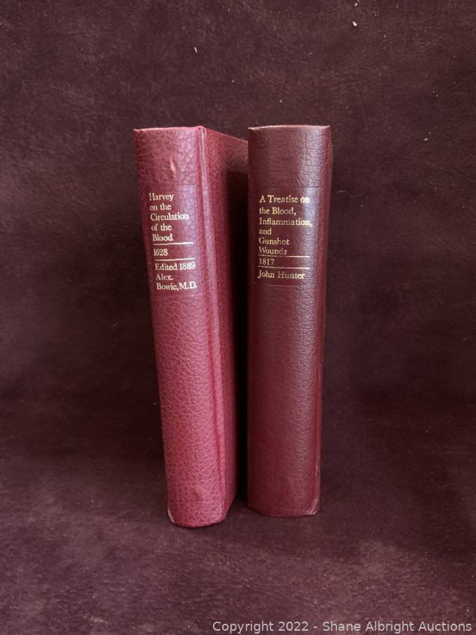 Alexandra Bowie 2022